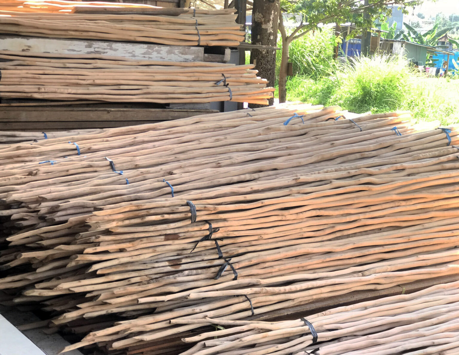 Kayu Galam di Bali - CV . Jaya Pratama Makmur