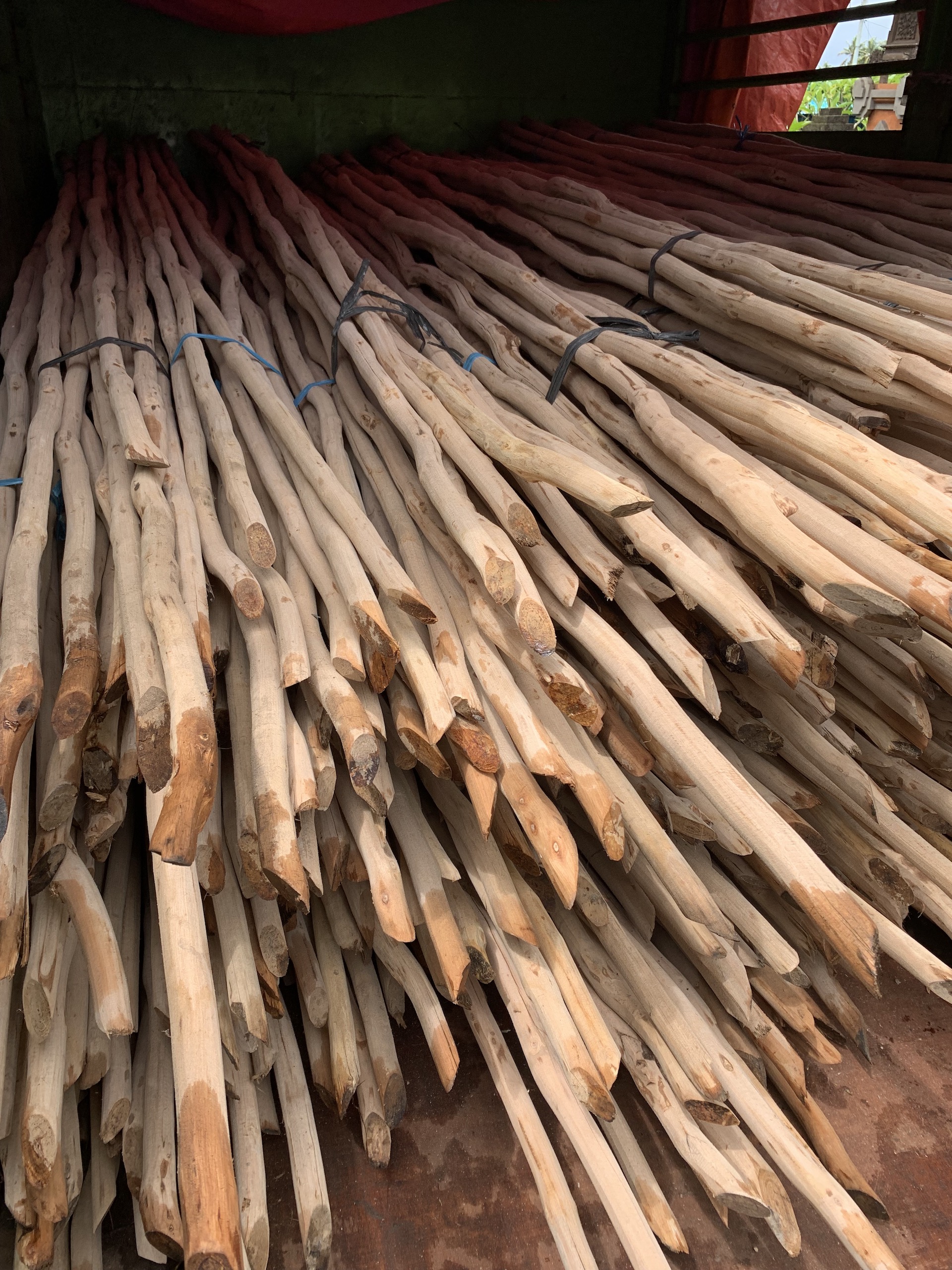 Kayu Galam di Bali - CV . Jaya Pratama Makmur
